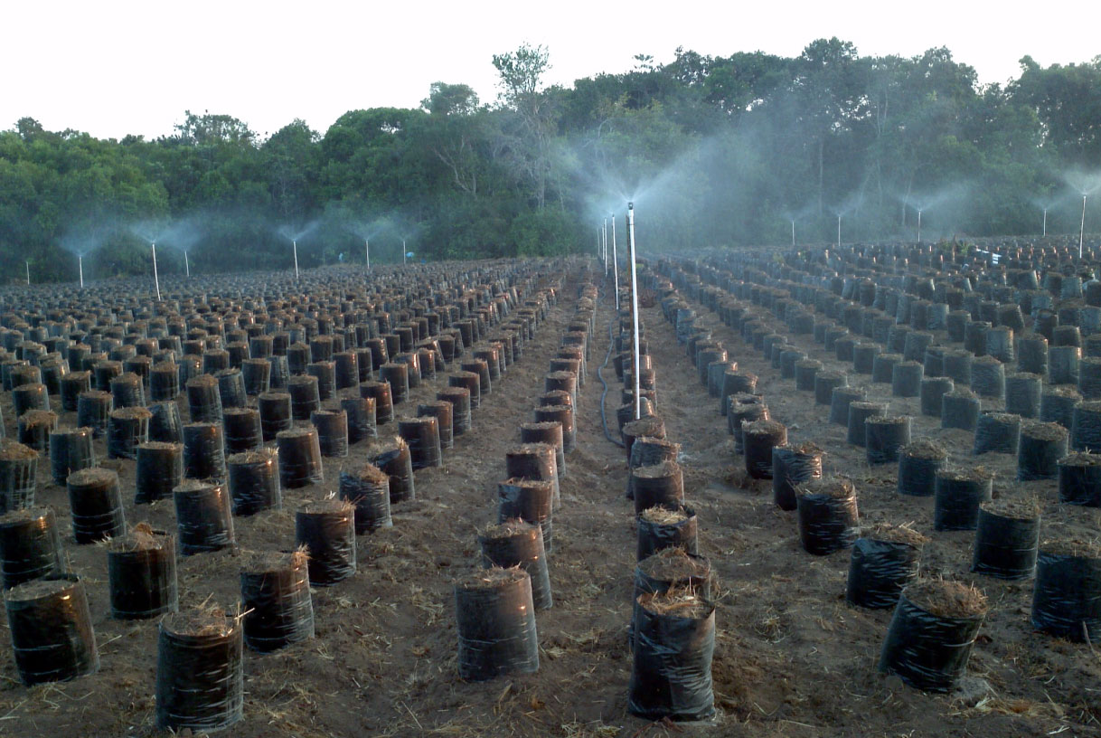 Agricultura Durman Soluciones tecnológicas - Durman